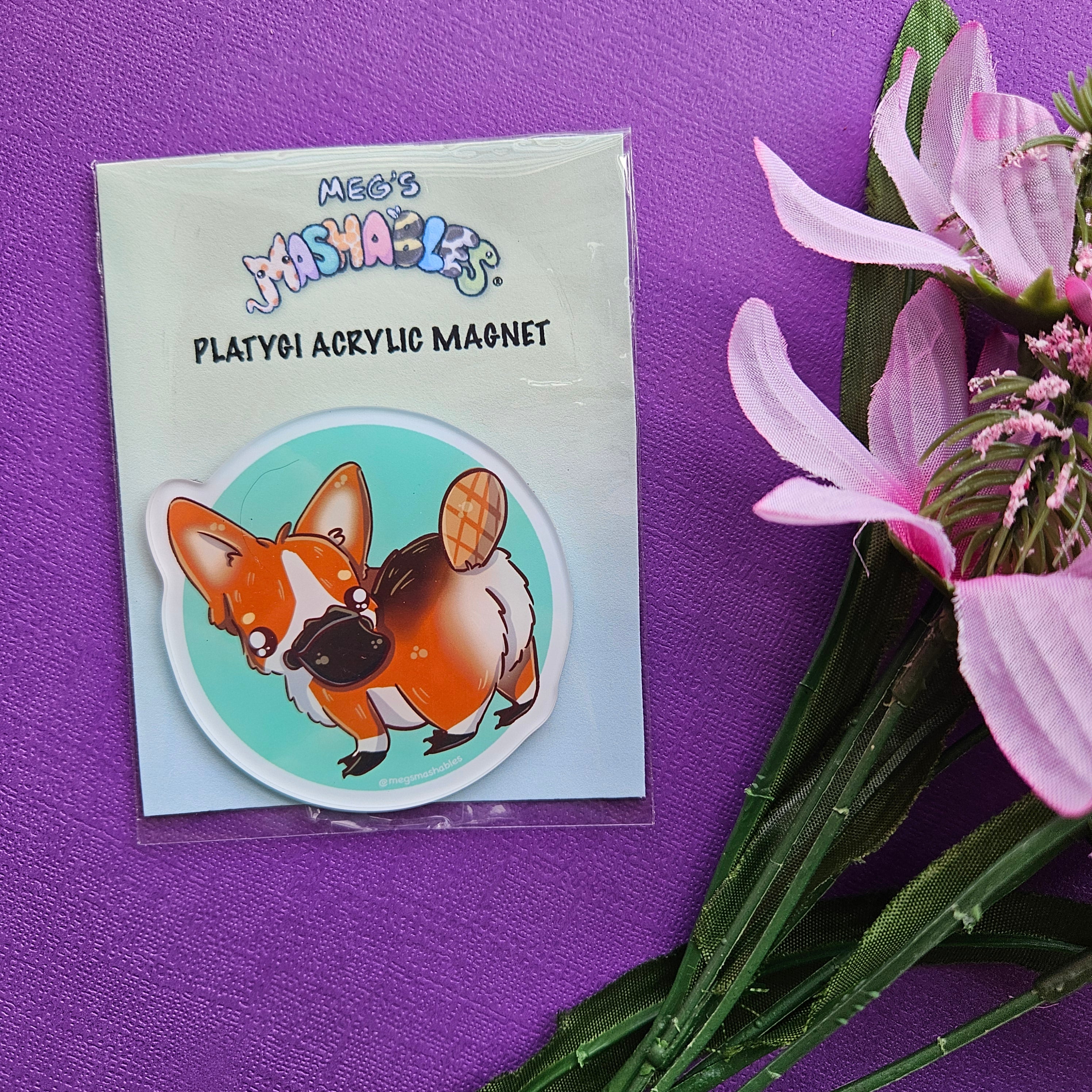 Platygi Acrylic Magnet (platypus + corgi) – Meg's Mashables